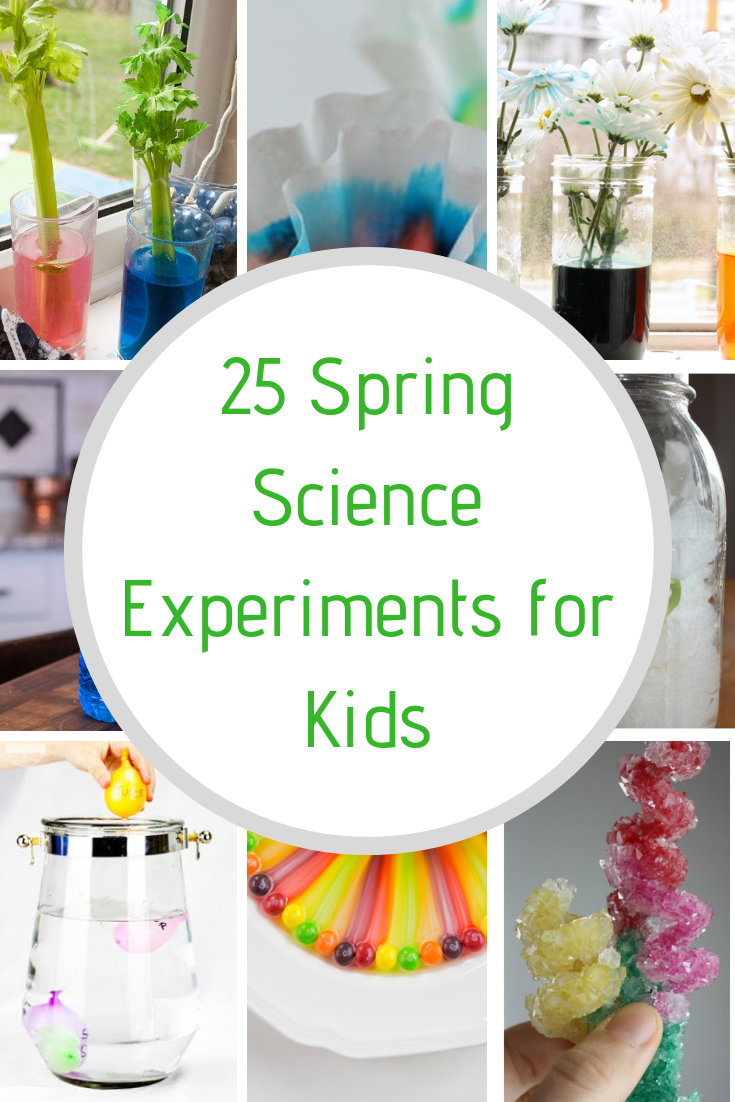 25 Spring Science Experiments for Kids - Sarah Lyn Gay