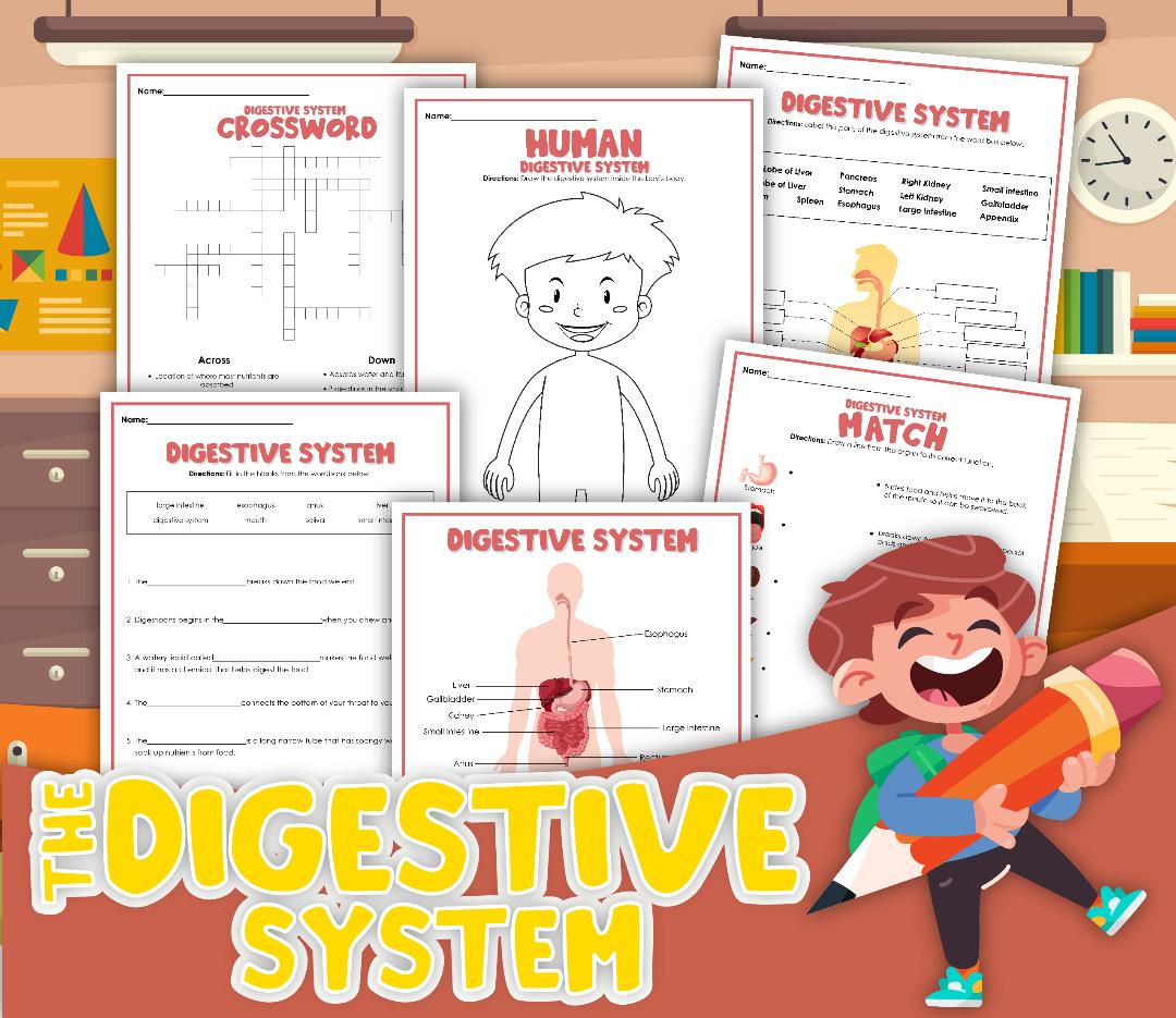 Informative Digestive System Study For Kids - Sarah Lyn Gay