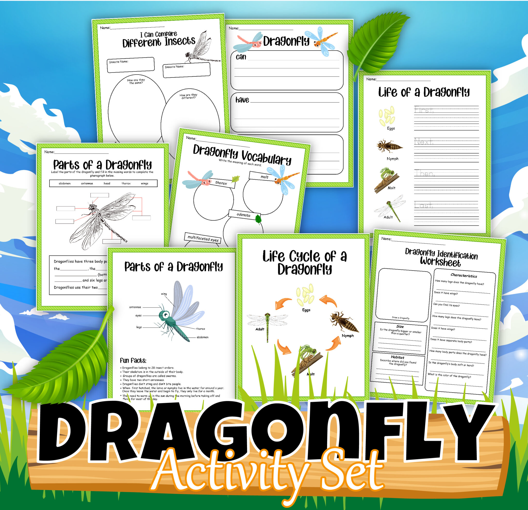 Dragons Fly Too: Help Your Kids Understand the Life Cycle of a ...