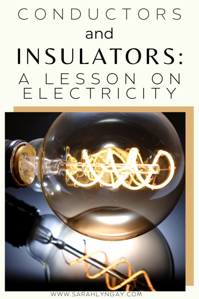 Conductors and Insulators: A Lesson on Electricity - Sarah Lyn Gay