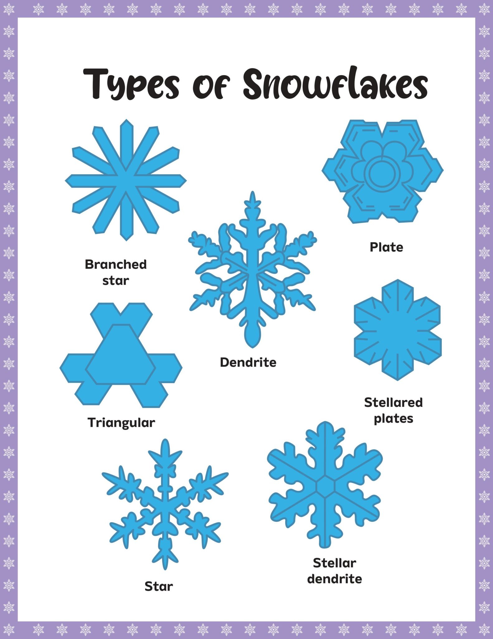 Life Cycle of a Snowflake Worksheet: A Comprehensive Guide - Sarah Lyn Gay