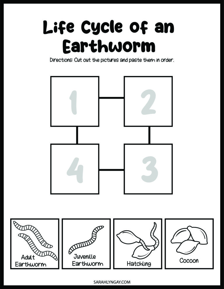 Worm Life Cycle: Understanding the Stages of Worm Development - Sarah ...