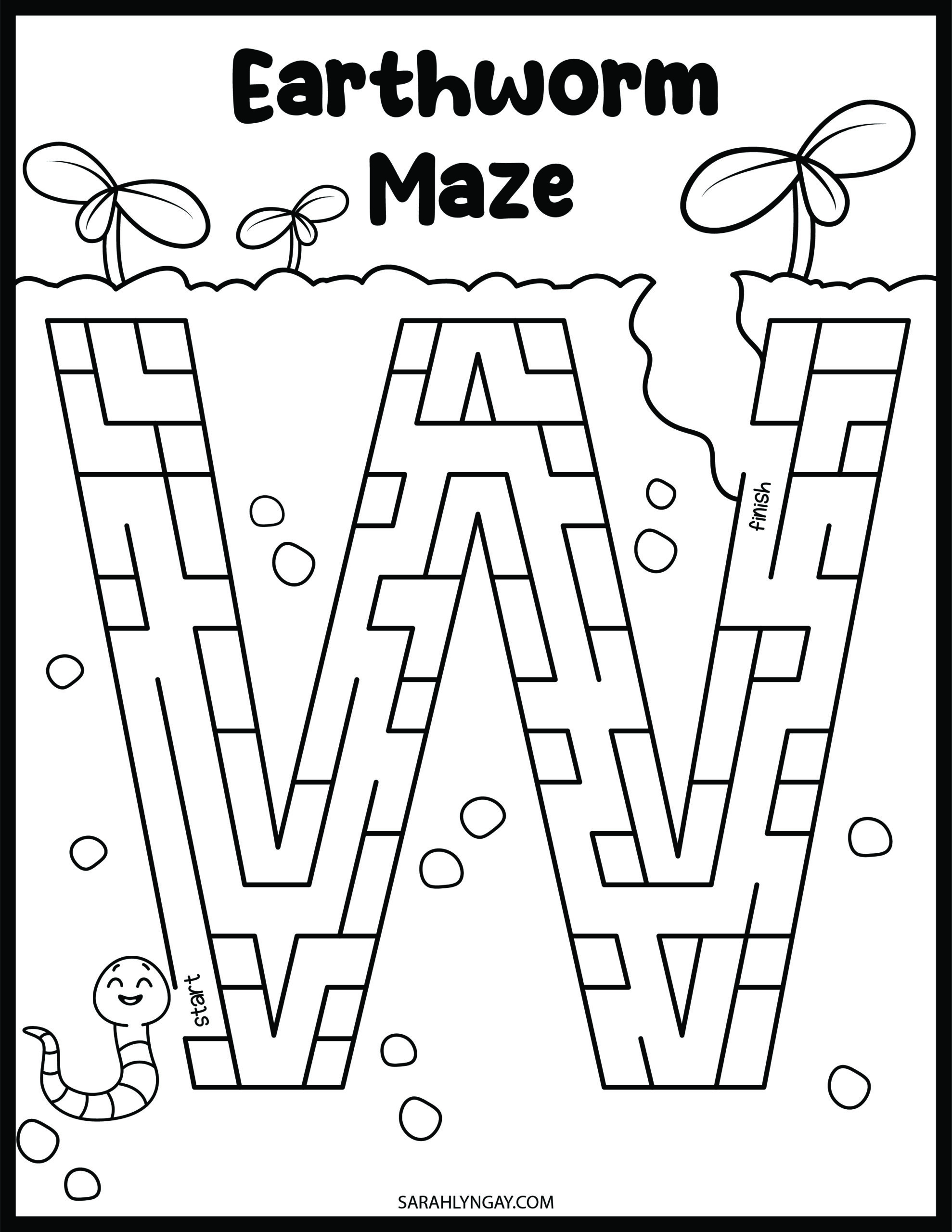 Worm Life Cycle: Understanding the Stages of Worm Development - Sarah ...