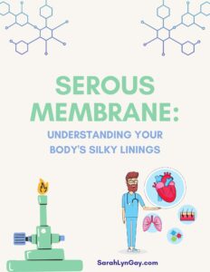Serous Membrane: Understanding Your Body's Silky Linings - Sarah Lyn Gay