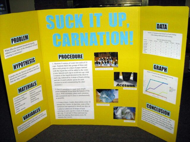 Science Fair Projects Hypothesis: Crafting a Winning Proposal - Sarah ...