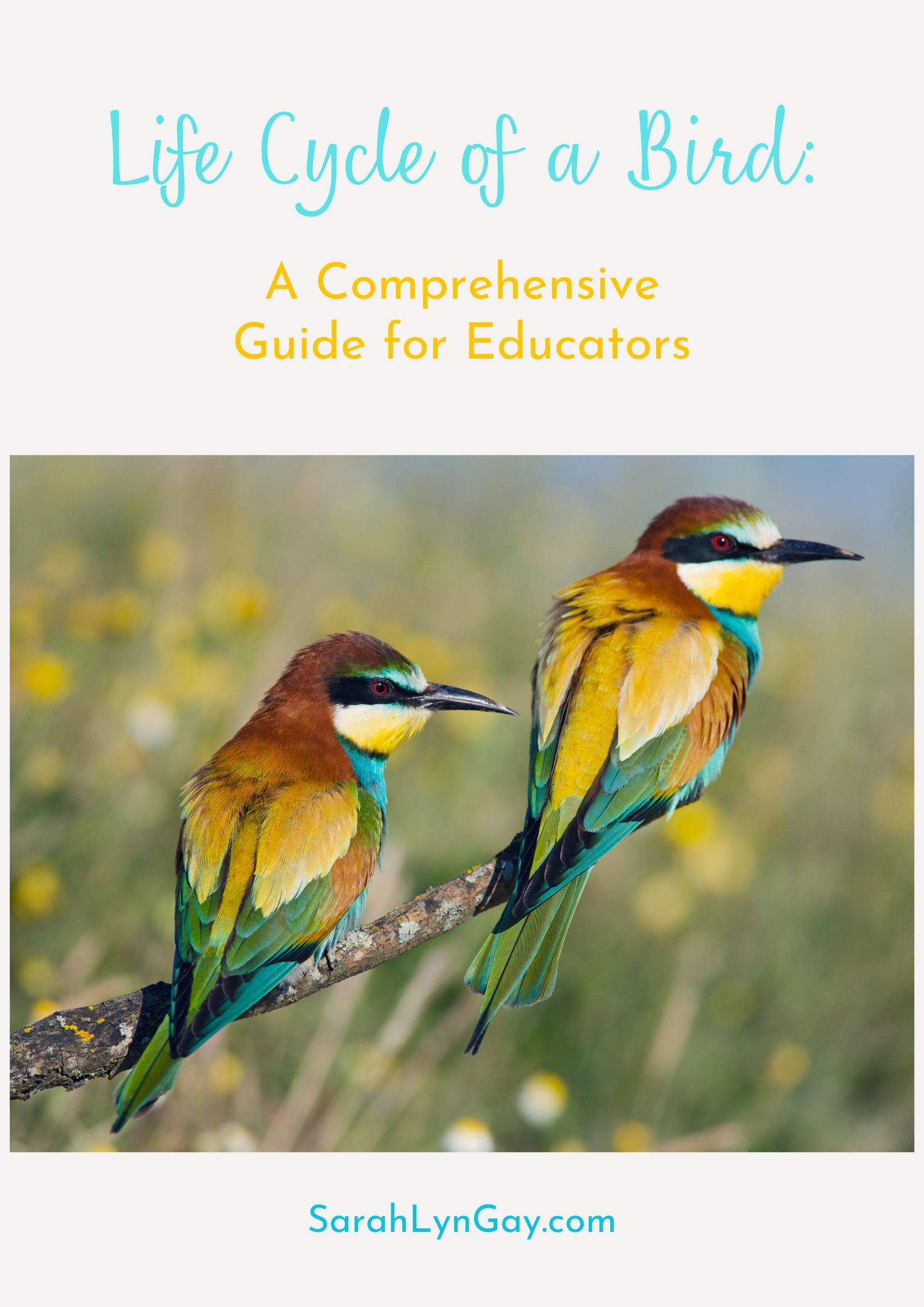 Life Cycle of a Bird: A Comprehensive Guide for Educators - Sarah Lyn Gay