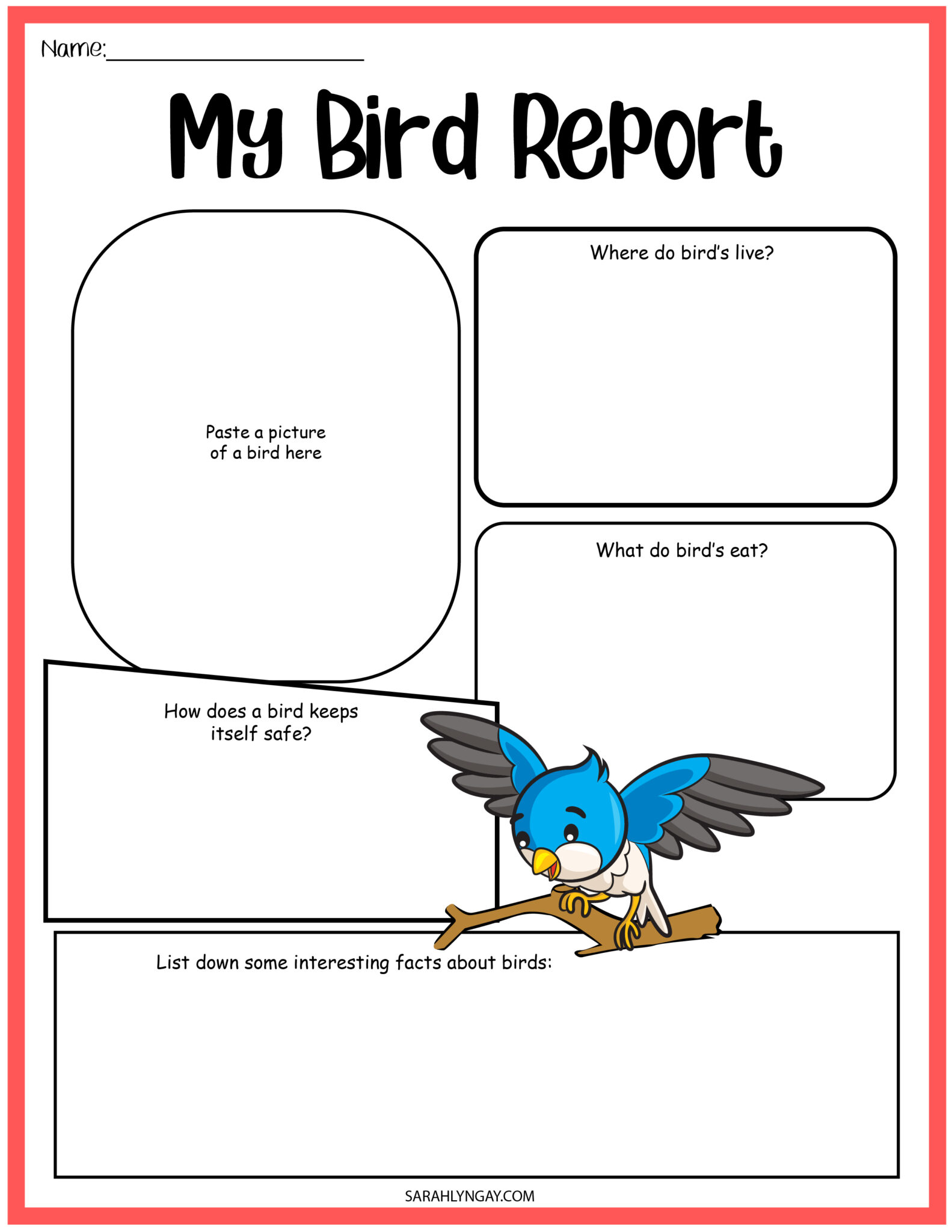 Life Cycle of a Bird: A Comprehensive Guide for Educators - Sarah Lyn Gay